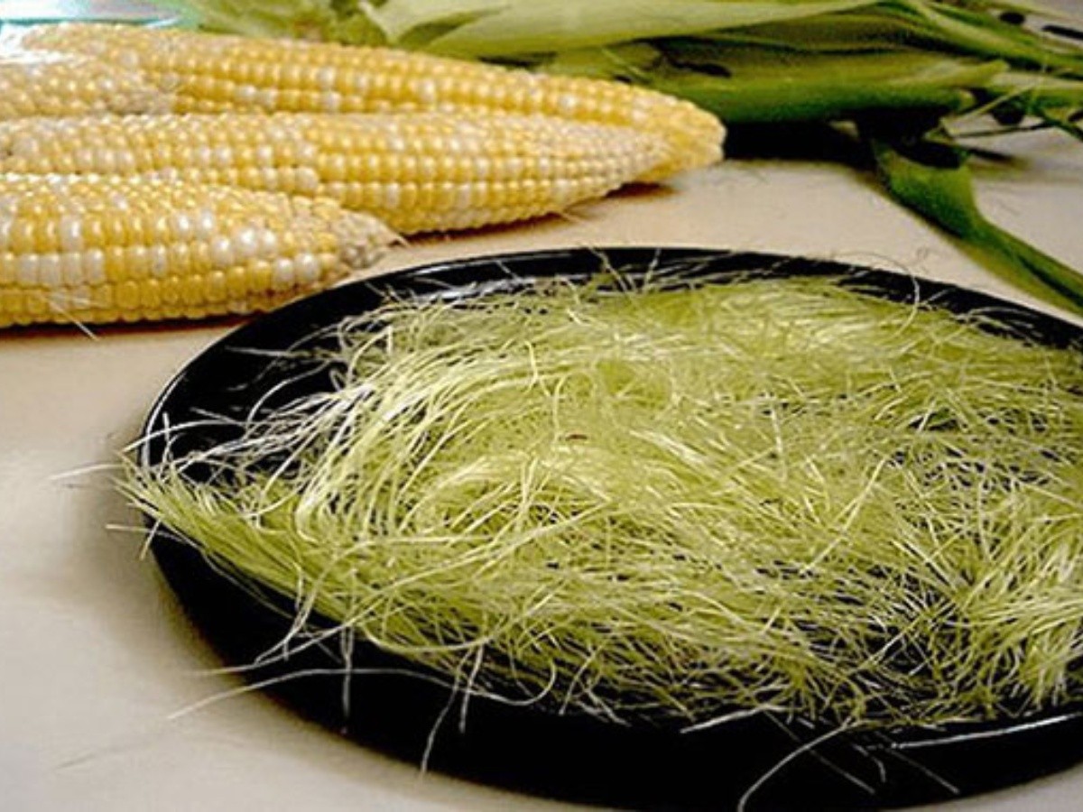 CABELLOS DE ELOTE - La herbolaria en tu vida