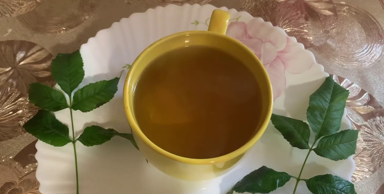 TRONADORA - La herbolaria en tu vida