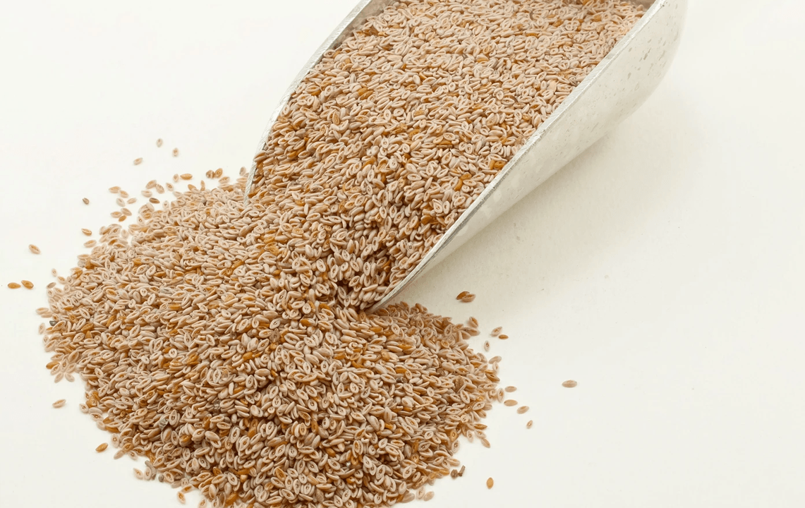 PSYLLIUM - La herbolaria en tu vida