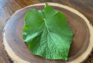 4 RECETAS CON HOJA SANTA PARA DIVERSAS ENFERMEDADES - La herbolaria en ...