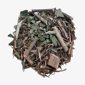 MORONEL COMO PLANTA TÓNICA: RECUPERACIÓN Y FORTALECIMIENTO - La ...